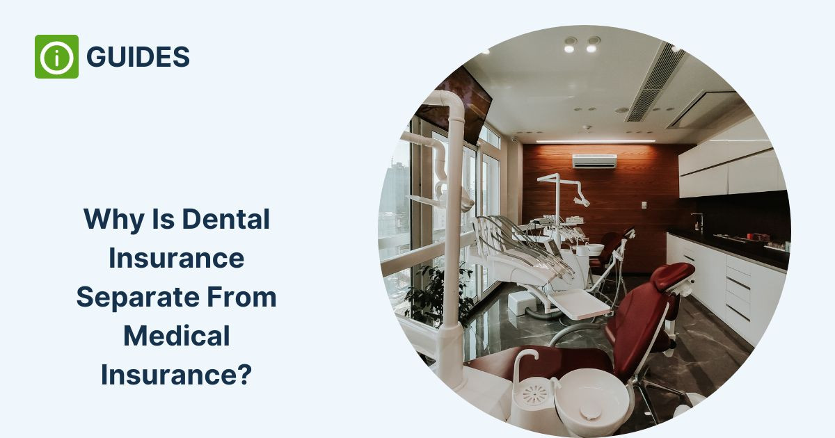 Who Is the Subscriber for Insurance Policies?